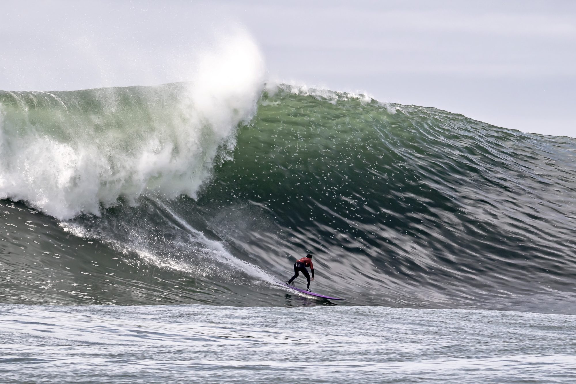 About Tommy Tsunami Surf School